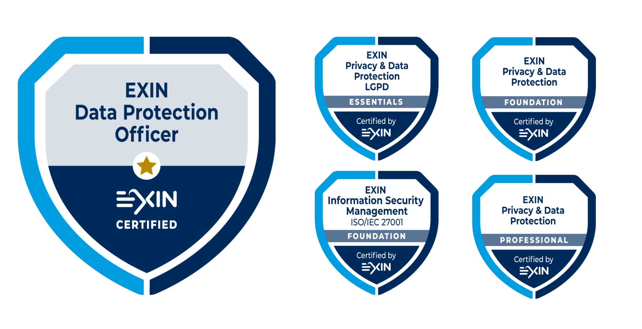 DPO (Data Protection Officer) na modalidade de assinaturaViseu